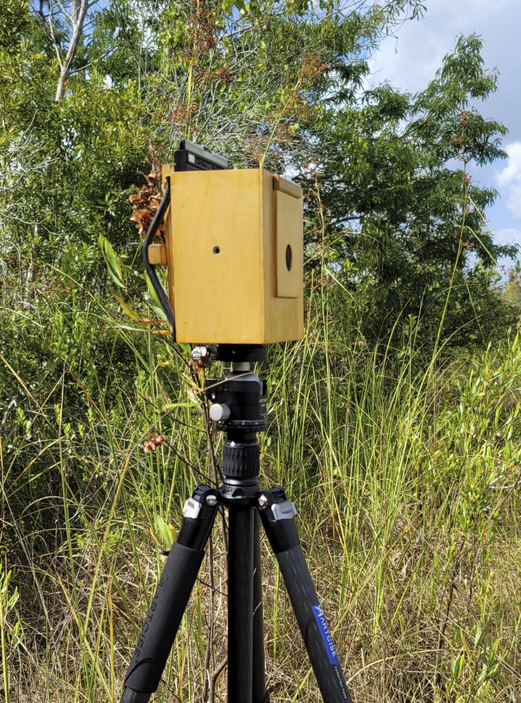 Pinhole Photography – Rudy Umans Imaging